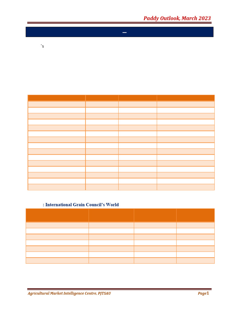 Paddy March 2023 | PDF | Paddy Field | Rice