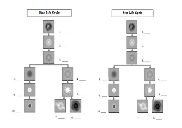 Physci Activity1 | PDF