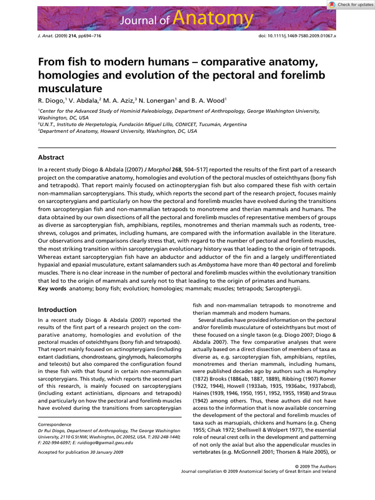 Fish To Modern Human | PDF