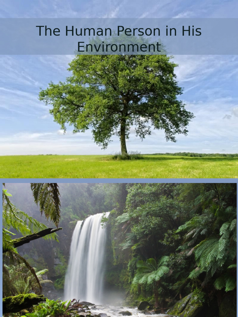 Human Person in Environmental Context | PDF | Yin And Yang | Social Science