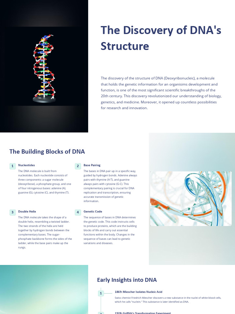 The Discovery of DNAs Structure | PDF