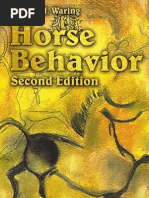 Basic Horse Training | PDF | Equidae | Horses