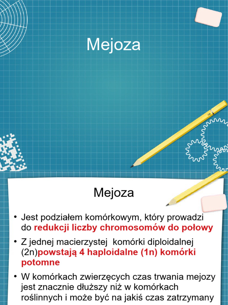 Mejoza | PDF