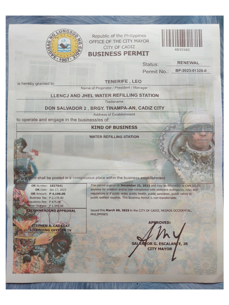 Mayors Permit 2023 | PDF