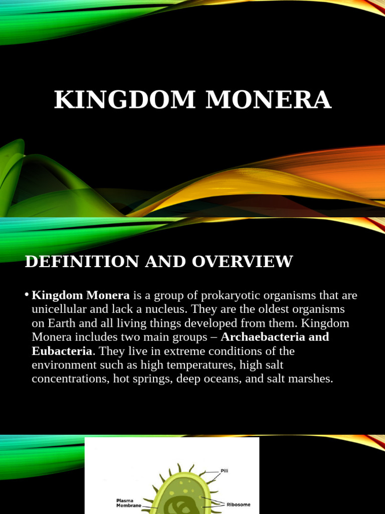 Kingdom Monera | PDF