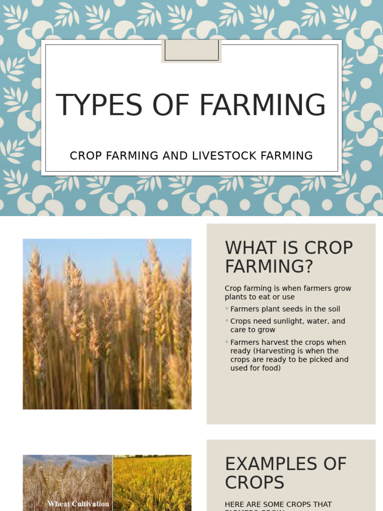 W2 - Types of Farming | PDF