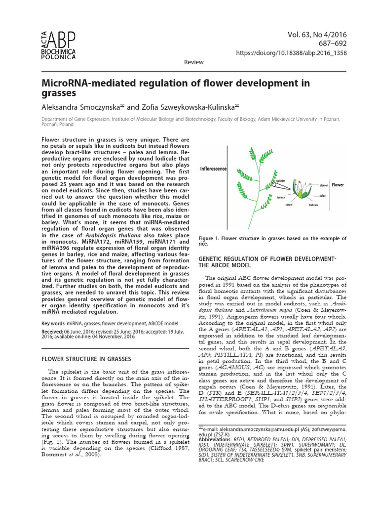 MicroRNA Mediated Regulation of Flo | PDF