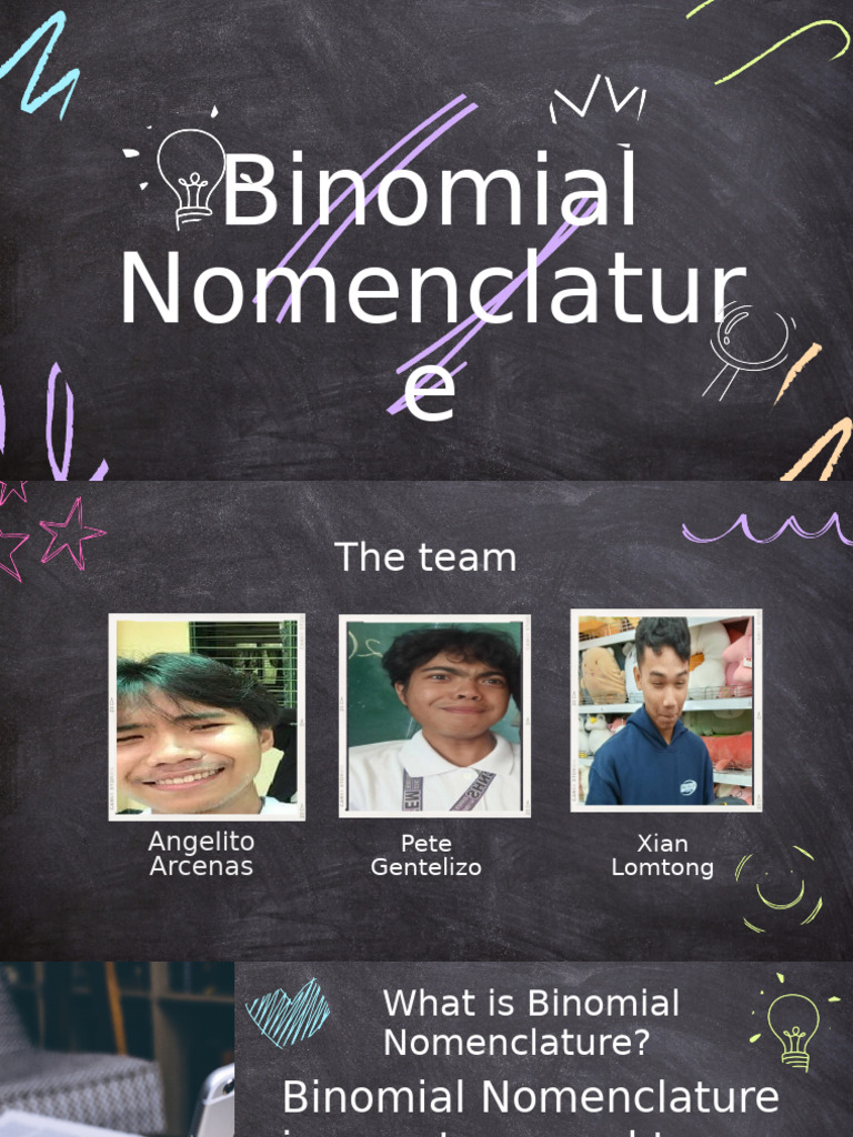 Binomial Nomenclature | PDF