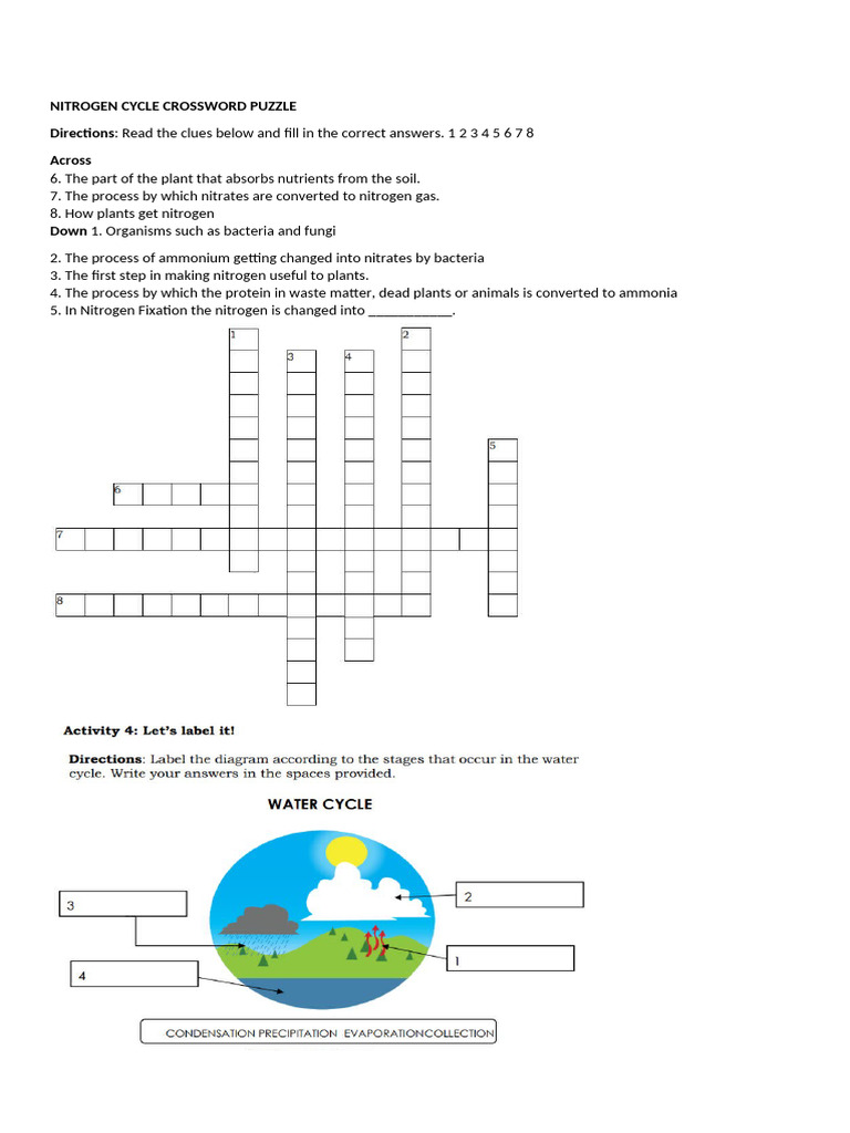 Nitrogen Cycle Crossword Puzzle Directions Across | PDF