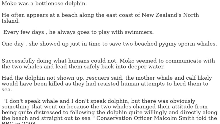 Project 1 of S3A | PDF