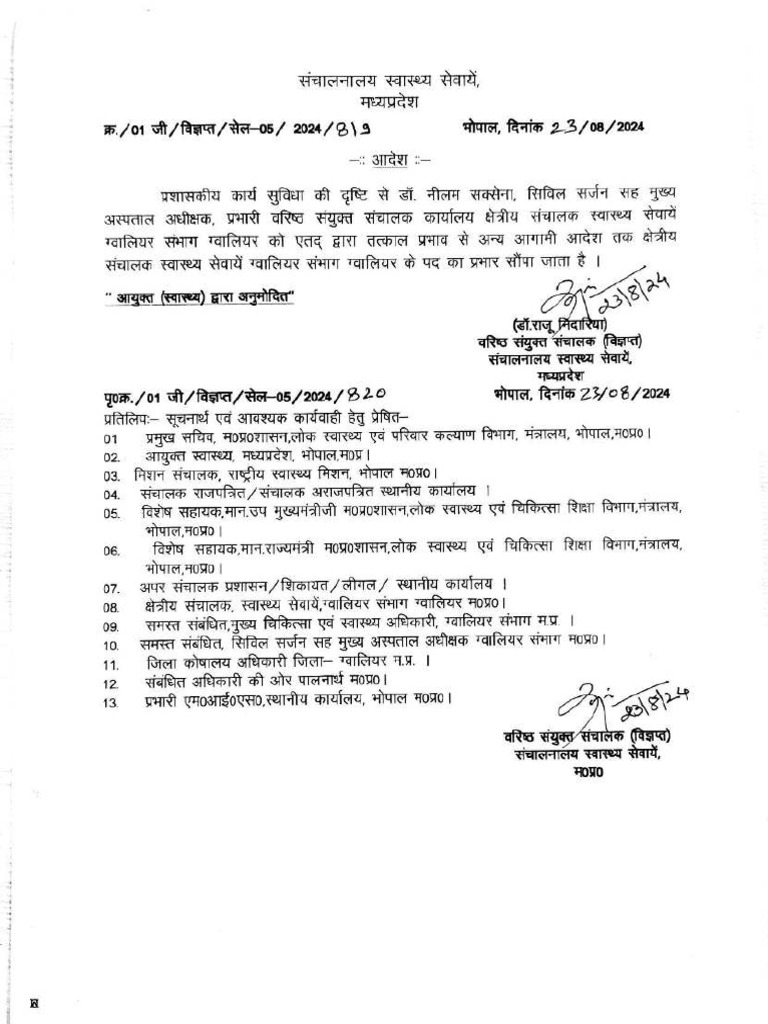 Transfer Gaz 2024 | PDF