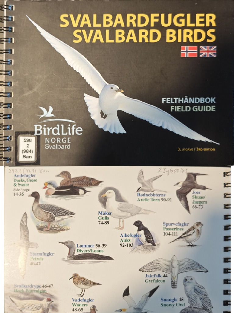 Svalbard Birds | PDF