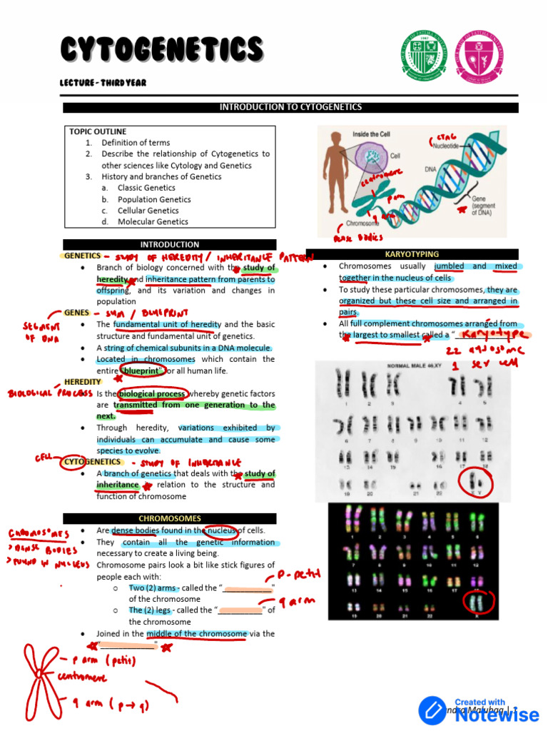 CYTOGEN WEEK 1 2 INTRODUCTION Annotate | PDF | Genetics | Self-Improvement