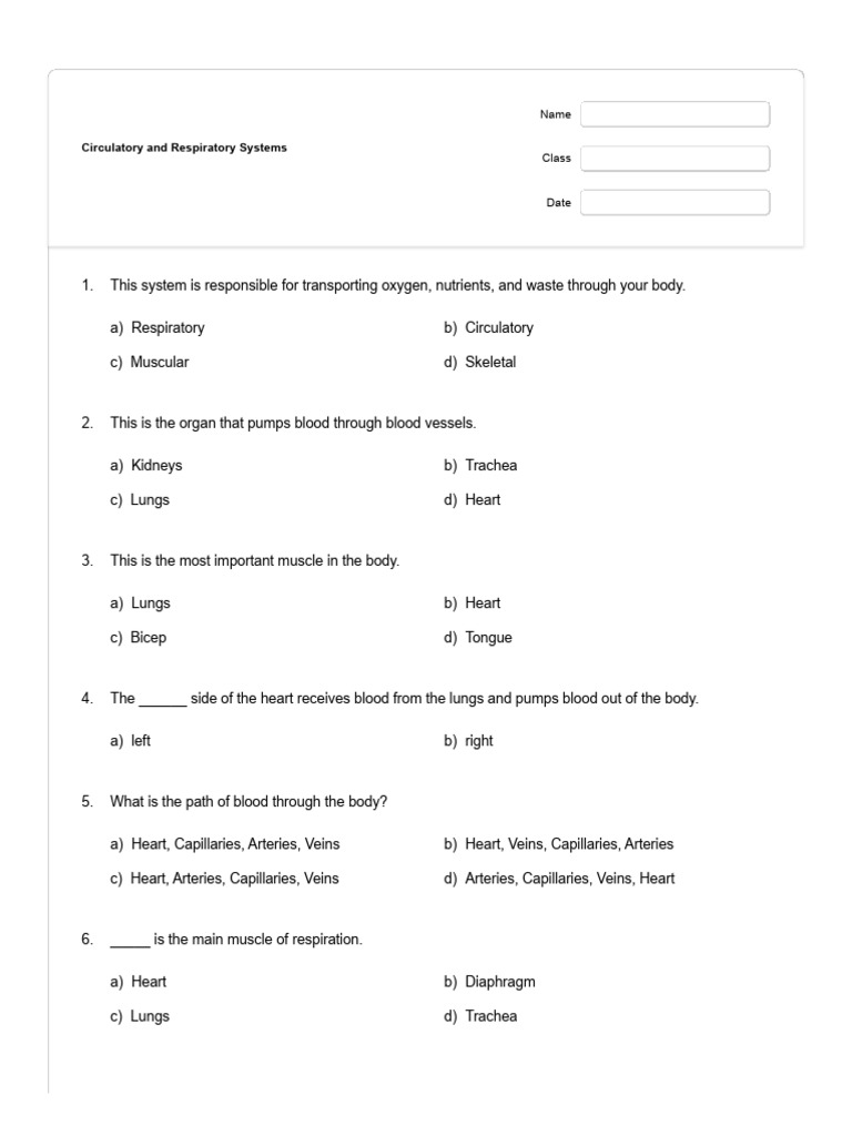 Quizizz | PDF | Science & Mathematics