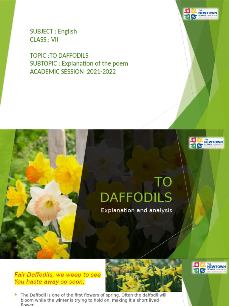 Class Vii English To Daffodils Explanation | PDF