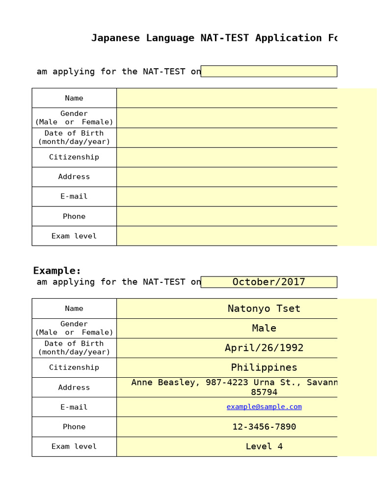 PHP_NAT-TEST_Application-Form-Sample_Excel2003_English-2 | PDF