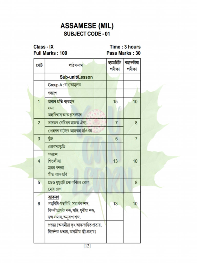 Class IX Syllabus 2024-1 | PDF