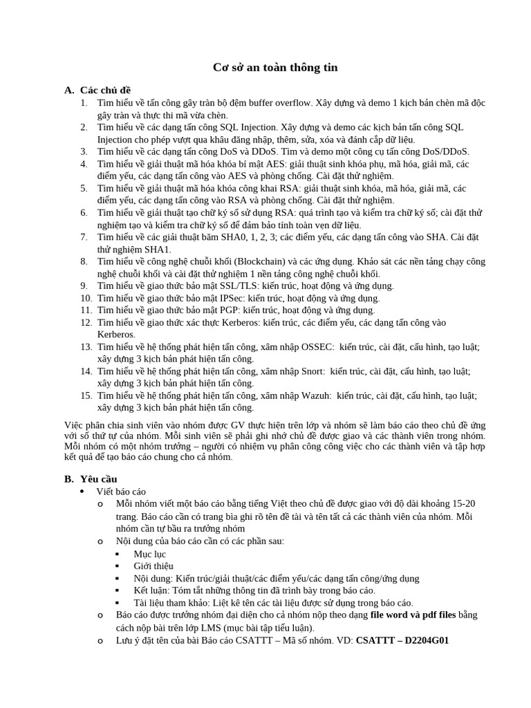 CSATTT Tieu Luan | PDF