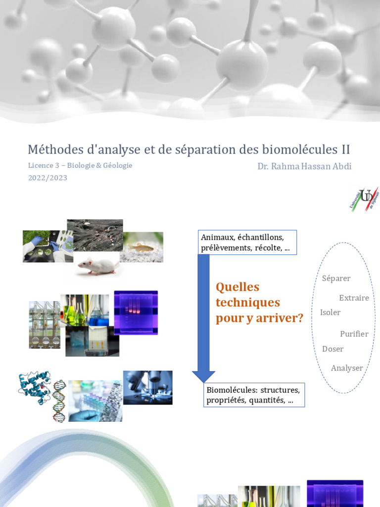 Cours 6 Biochimie | PDF
