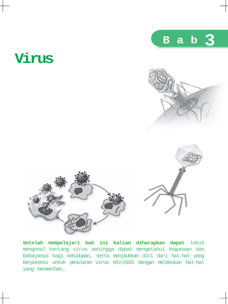 Modul Materi Virus | PDF