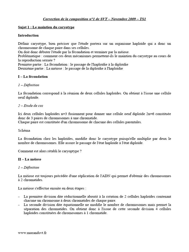 Compo 1 C | PDF