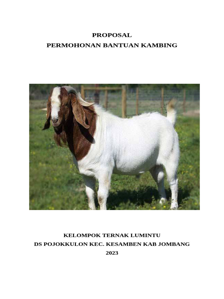 Proposal Domba Pojokkulon | PDF