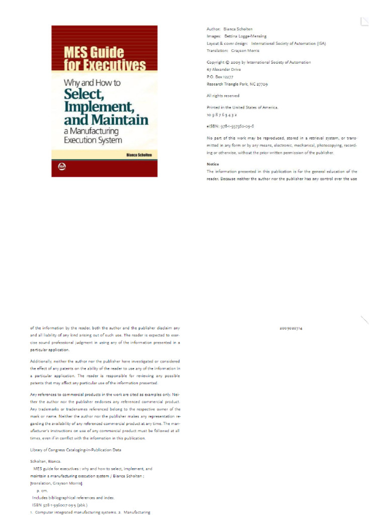 MES Guide For Executives | PDF
