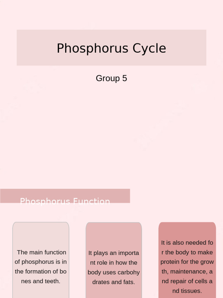Phosphorus 2 | PDF