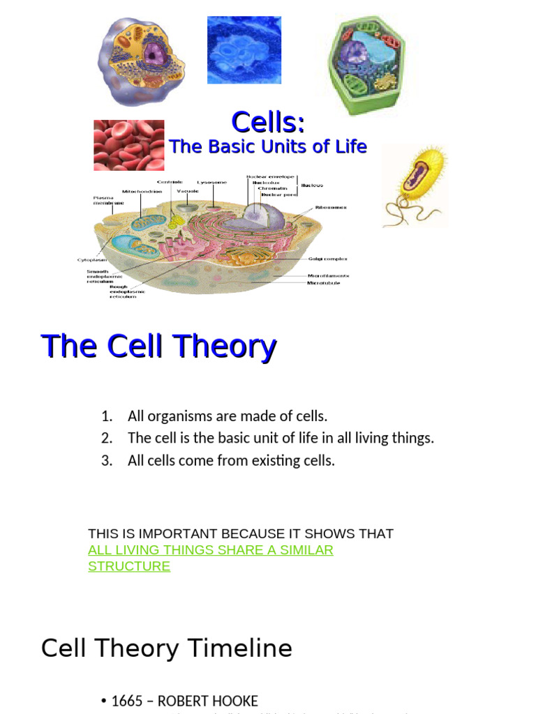 The CELL | PDF