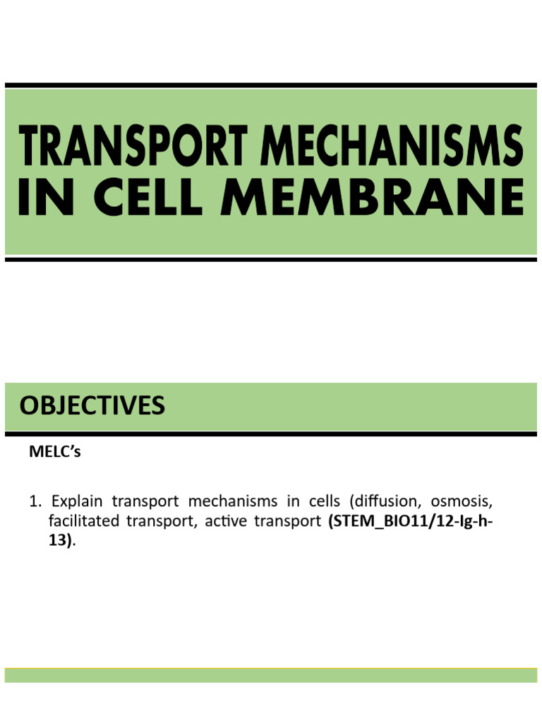 PPT8 Transport Mechanisms in Cell Membrane | PDF