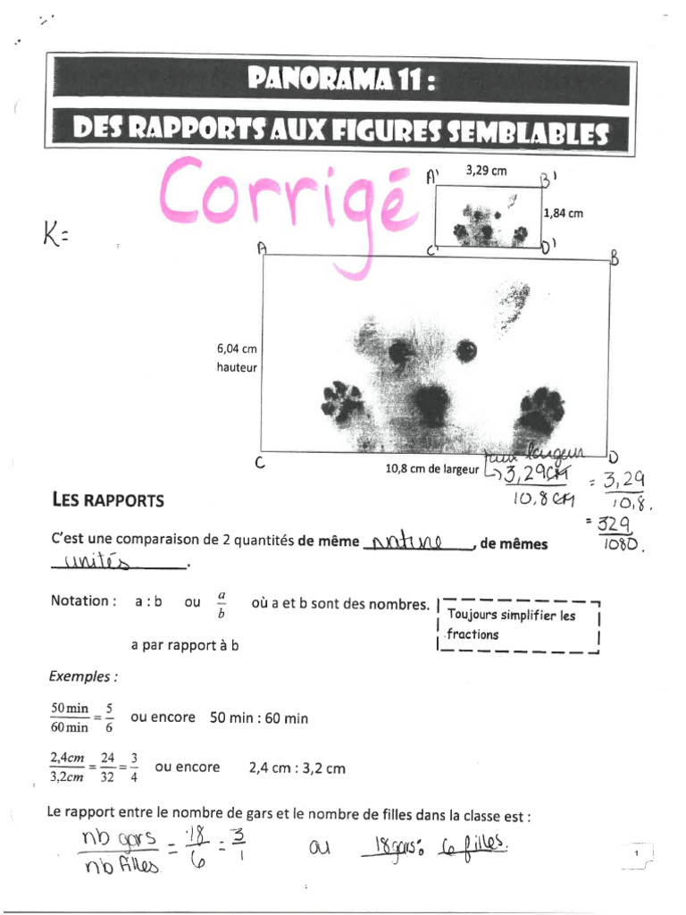 2021 CORRIGE CM Pano11 Rapport Fig Semblable | PDF