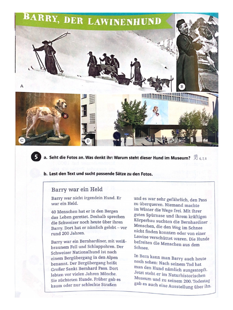 BARRY, DER LAWINENHUND | PDF