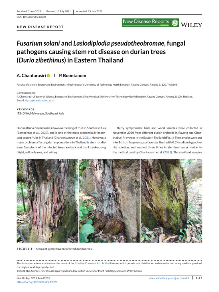 Fusarium Solani and Lasiodiplodia Pseudotheobromae | PDF