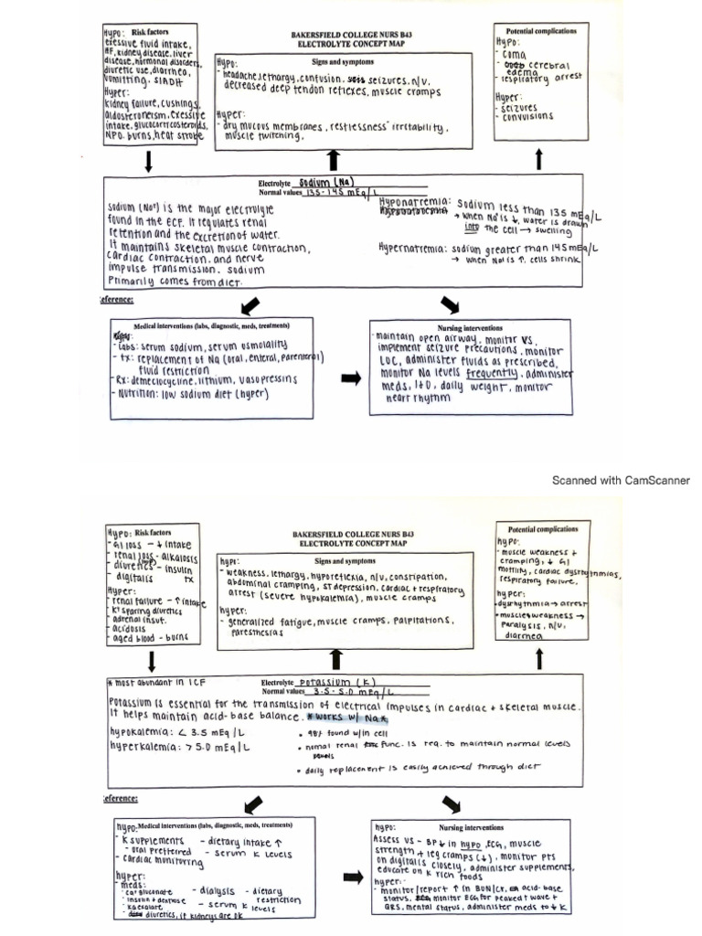 Electrolyte Concept Maps | PDF