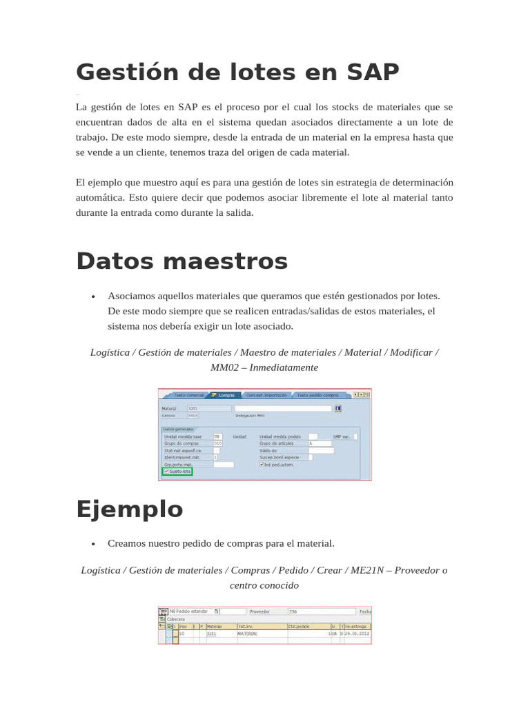 SAP MM Gestión de Lotes en SAP | PDF