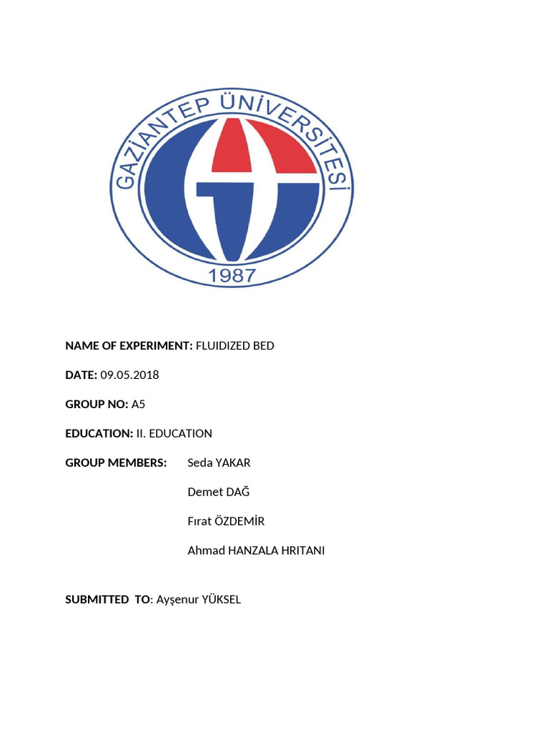 00001069-Fluidized Bed Report | PDF | Fluidization | Teaching Methods ...