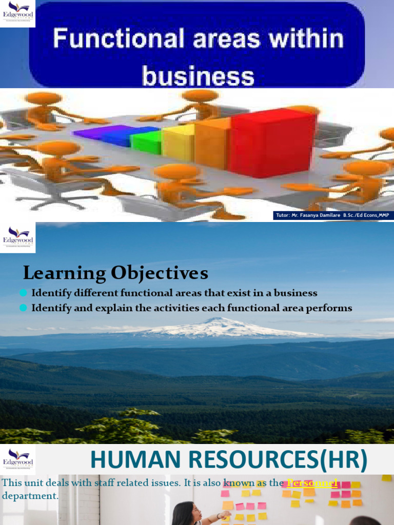 Functional Areas | PDF