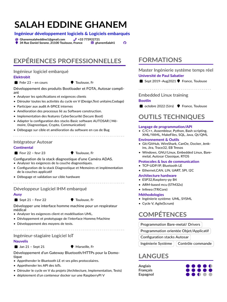 Ghanem S CV Swe | PDF