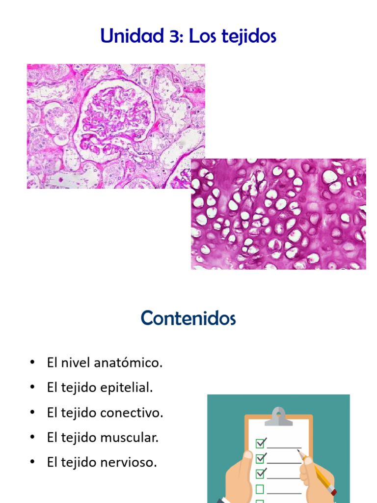 Presentacion UT3 | PDF