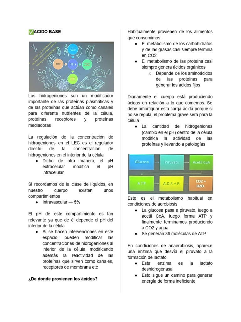 Acido Base | PDF