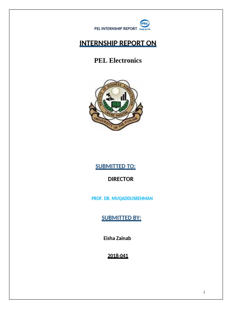 PEL internship report | PDF