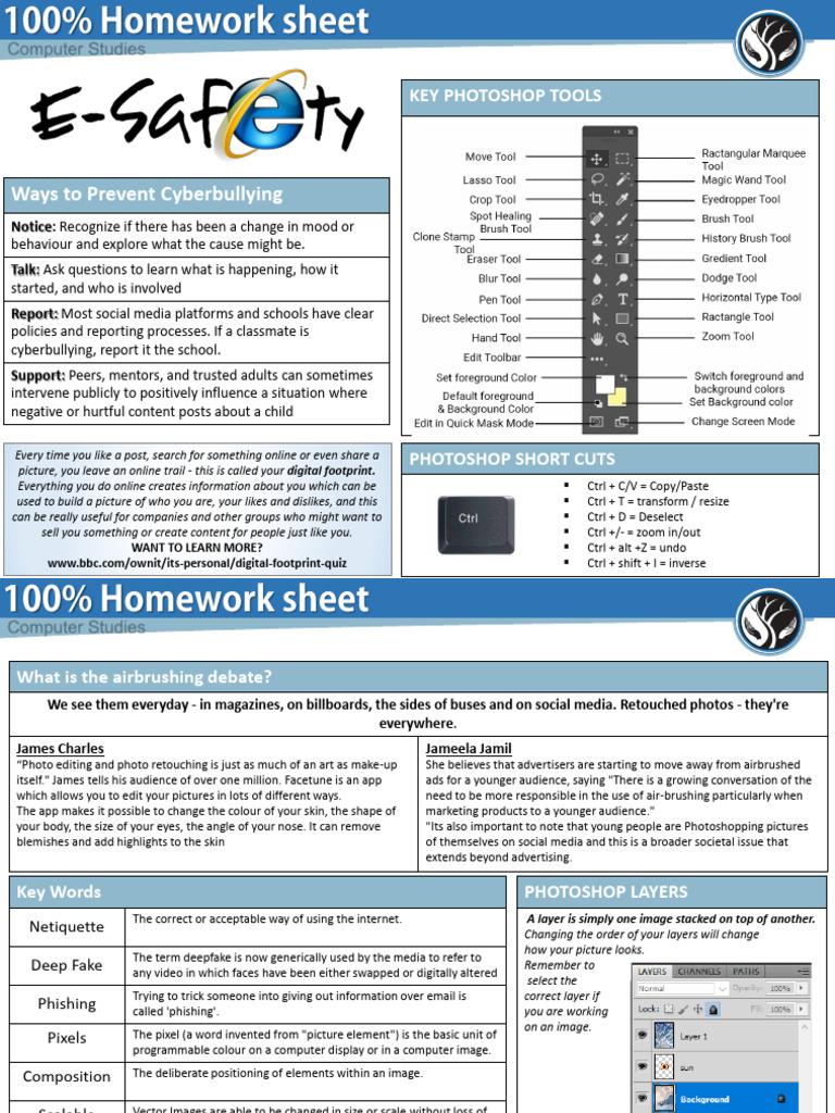 Year 8 Computer - Studies - 100 Sheet Y8 Esafety | PDF
