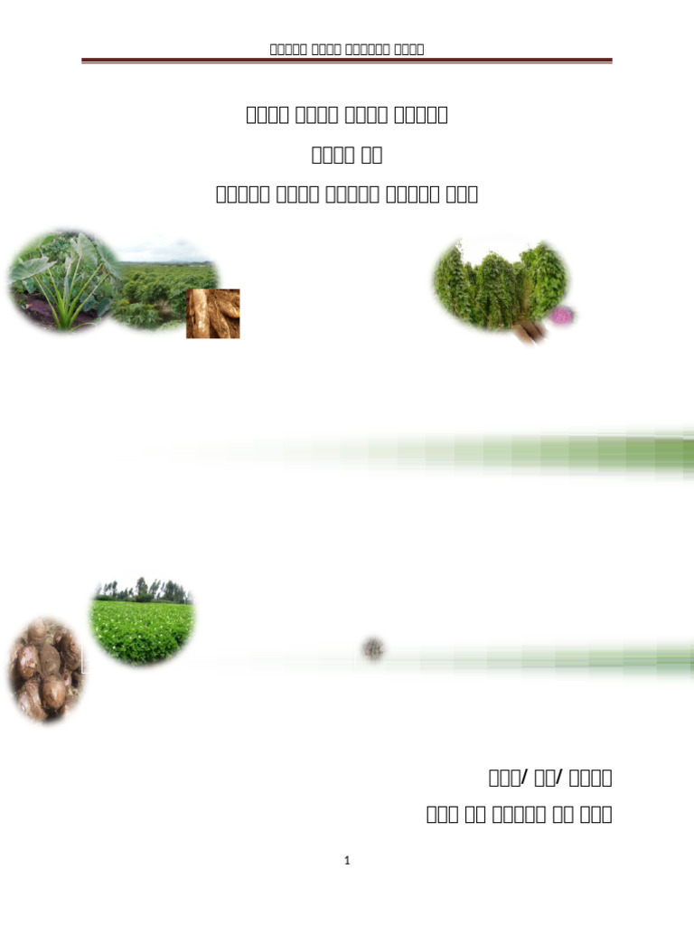 Root Crops Package To BURN | PDF