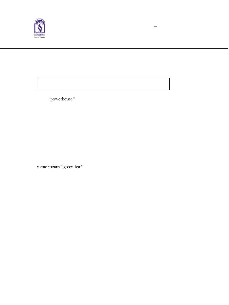 Grade 7 Biology: Plant Nutrition Worksheet | PDF