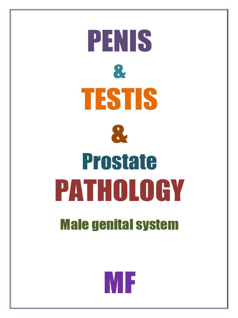 Male Patho | PDF