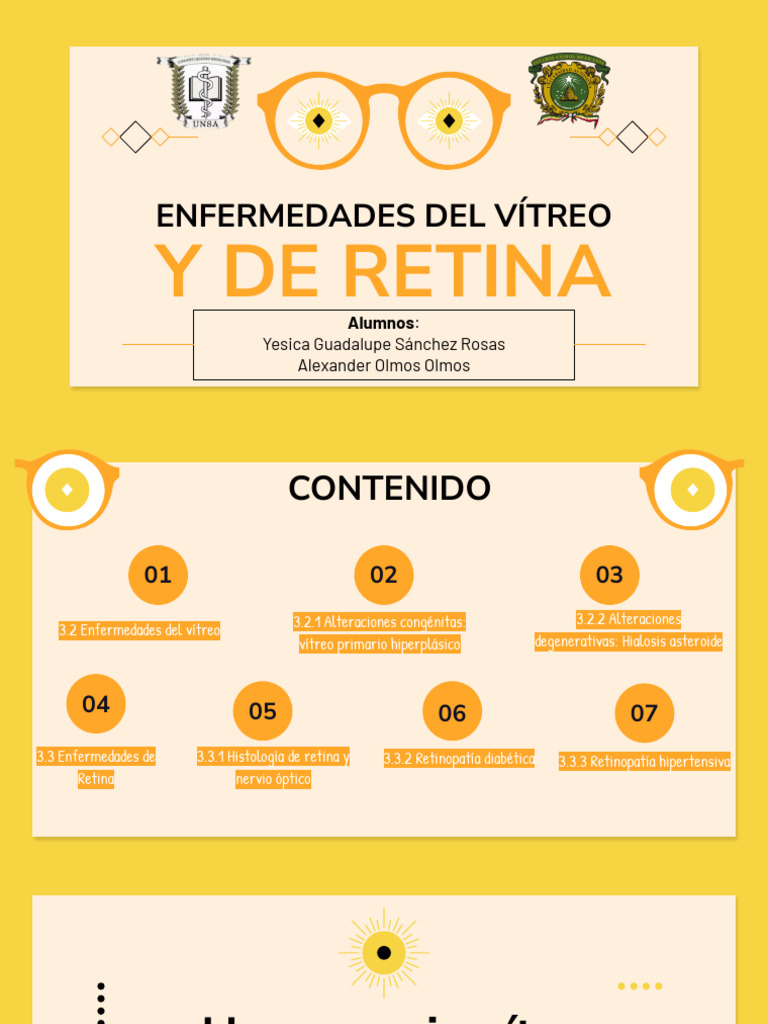 Vítreo y Retina | PDF