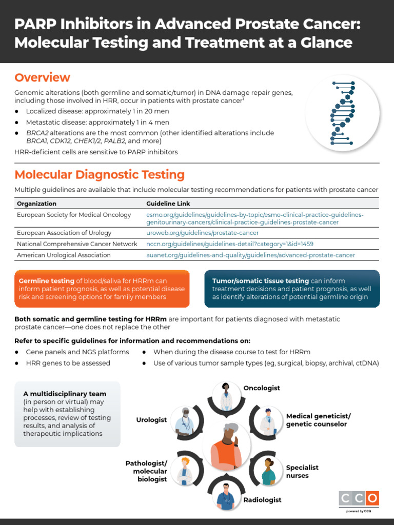 6883 Prostate Parp Infographic | PDF