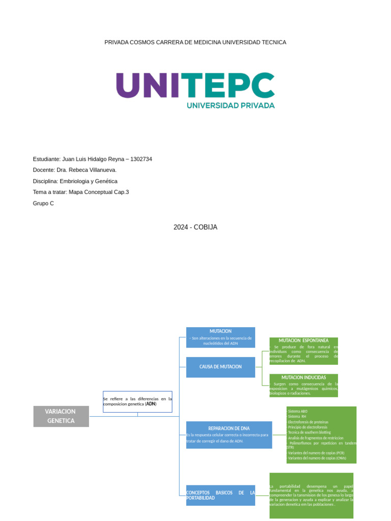 Mapa Conceptual Juan Luis | PDF