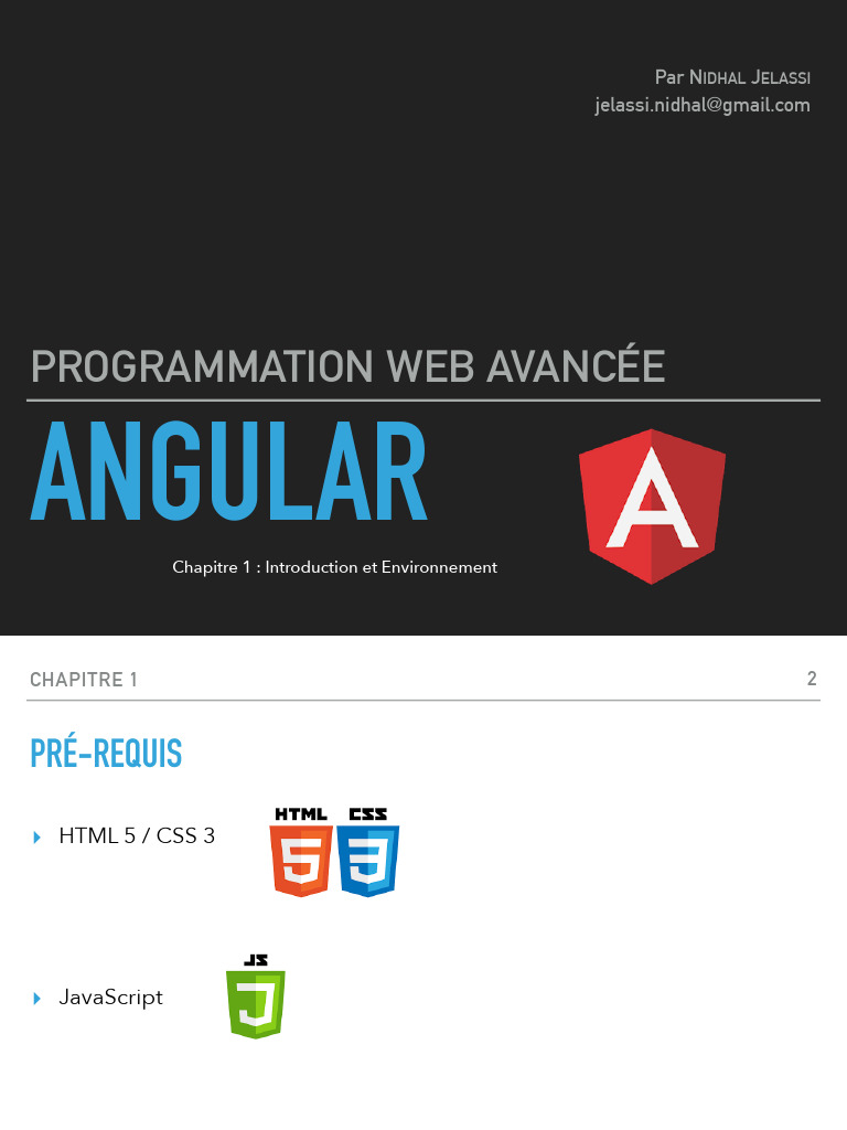 Support Angular | PDF