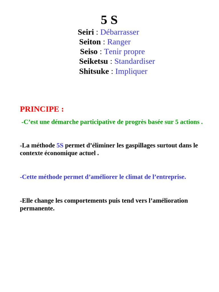 Seiri Seiton Seiso Seiketsu Shitsuke: Principe | PDF